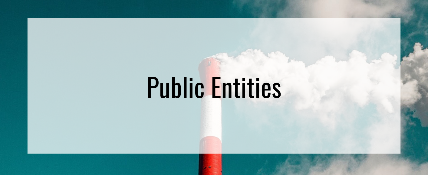 Vietnamese Public Entities – Toward Net Zero Goal